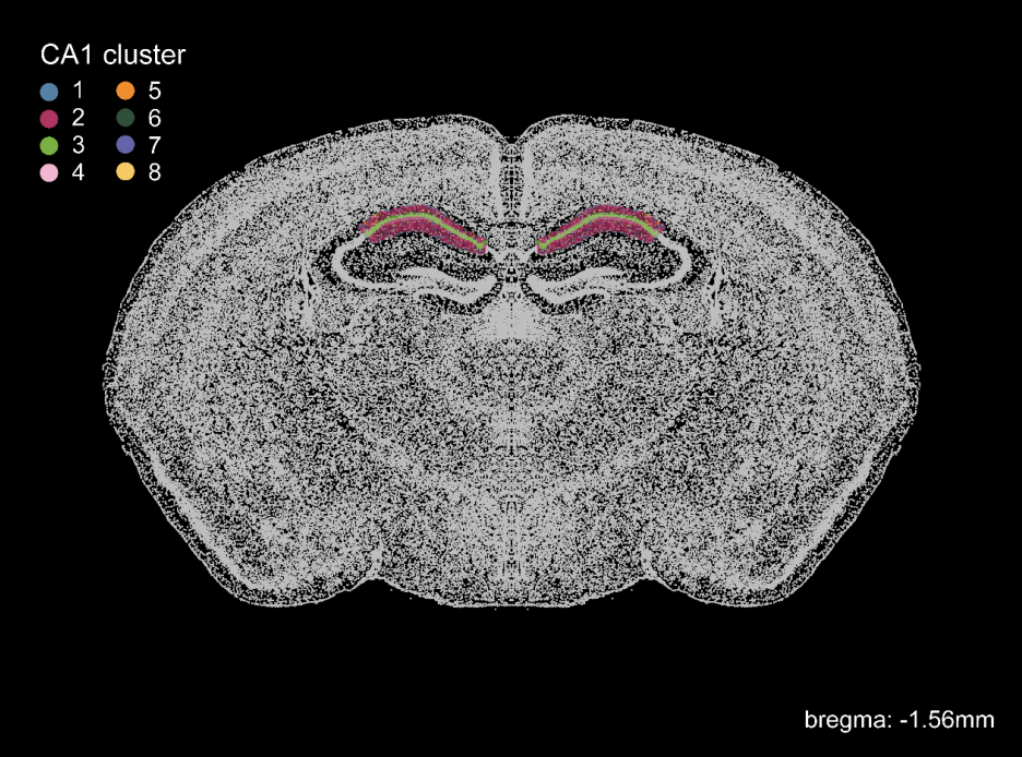 Digital Brain CEBSIT(ION)