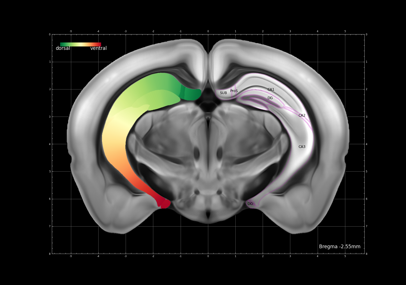 Longitudinal Axis Atlas