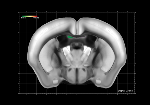 Longitudinal Axis Atlas